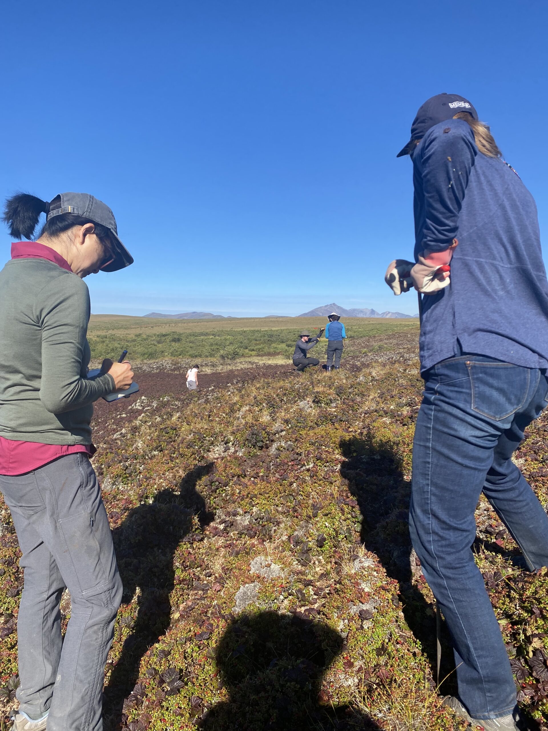 Day 2 of Data Gathering: an all-day affair - Science Lady Exploring and ...